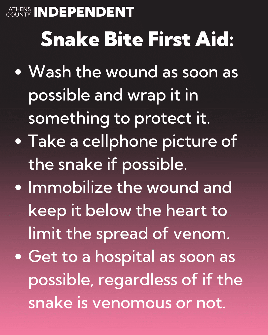 Copperhead snakes 101: Venom, habitat and first aid – Athens County ...