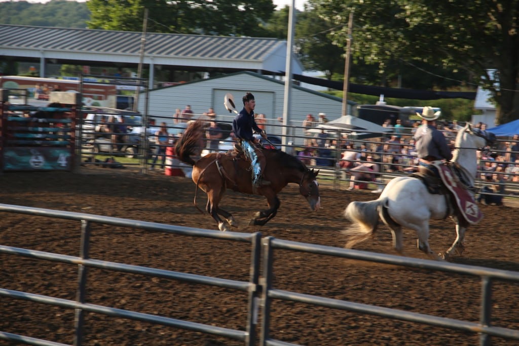 Photo gallery: Rodeo at the 2025 Athens County Fair – Athens County ...
