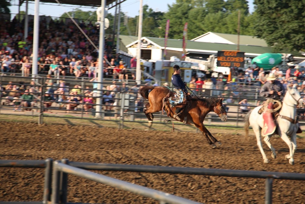 Photo gallery: Rodeo at the 2025 Athens County Fair – Athens County ...